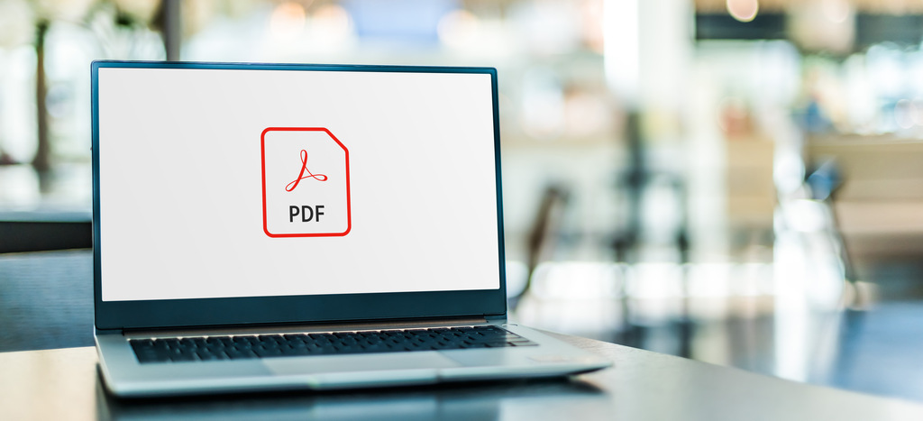 Tipos de PDF: qual usar e suas principais diferenças - TOTVS
